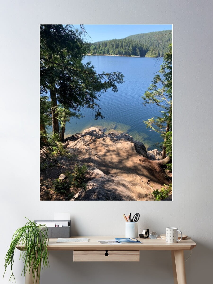 Kna Prints - Looking Through The Trees Poster Wall Art, Modern Wall ...