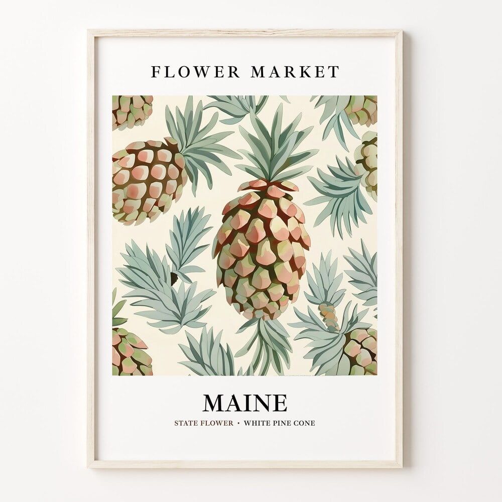 Kna Prints - Maine State Flower Poster Print, White Pine Cone 1960S ...