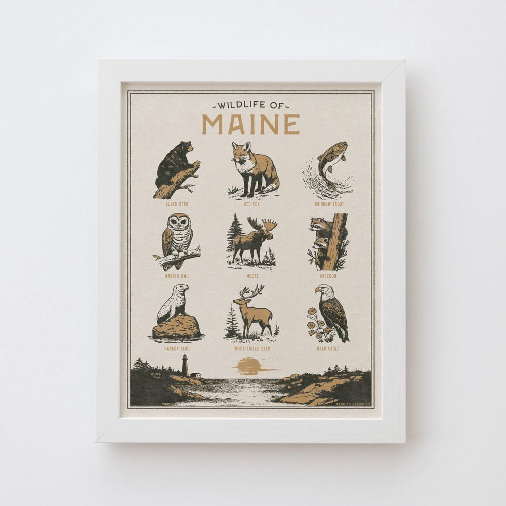 Kna Prints - Maine Wildlife Wall Art Print - Vintage Animal Poster ...