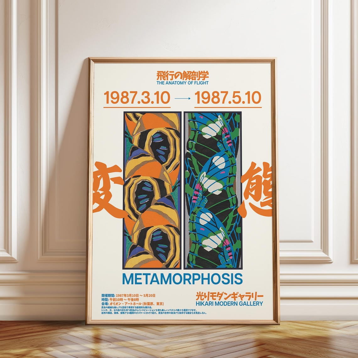 Kna Prints - Metamorphosis Butterfly Exhibition Posteranatomy Of Flight ...