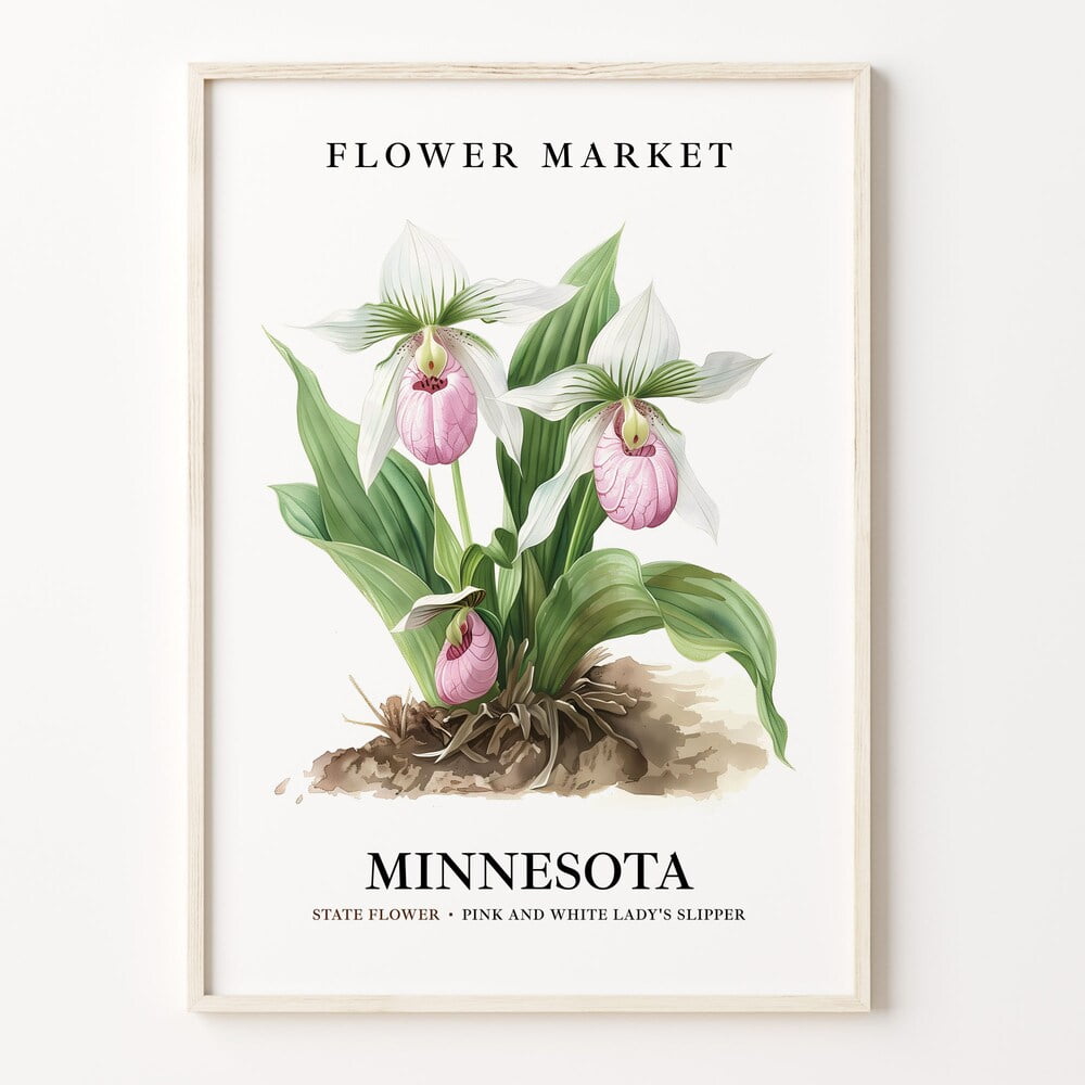 Kna Prints - Minnesota State Flower Poster Print, Pink And White Lady'S ...