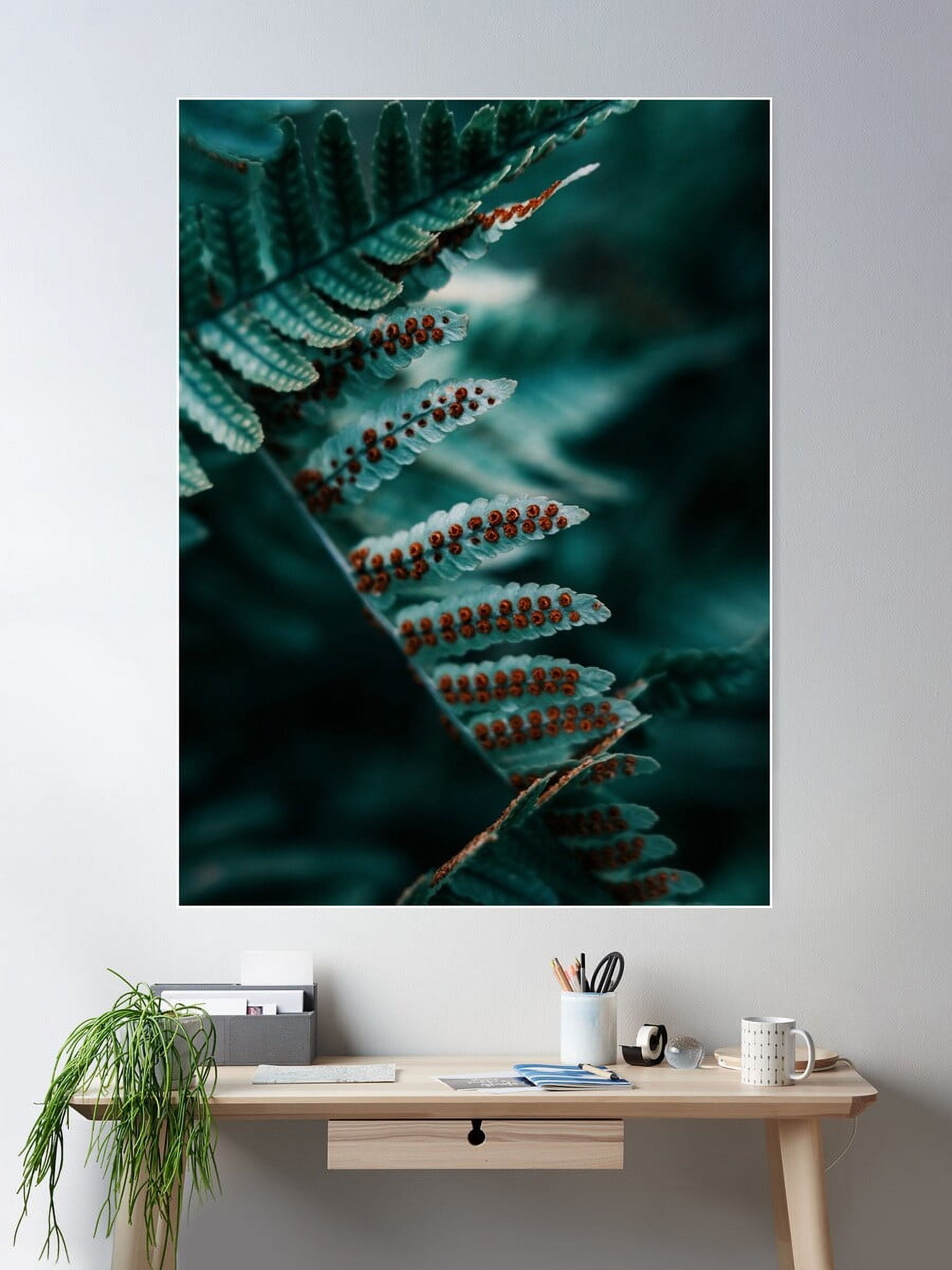 Kna Prints - Moody Morning Fern Poster Wall Art, Modern Wall Decor For ...