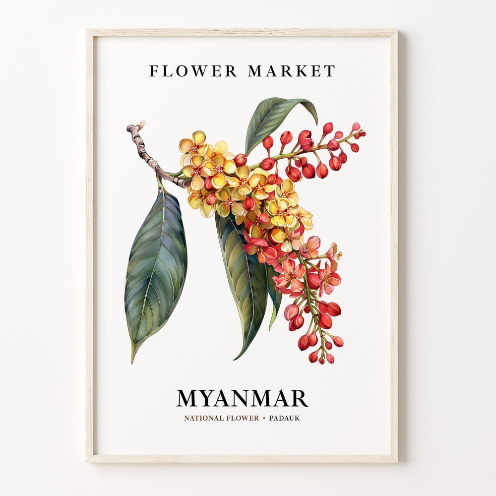 Kna Prints - Myanmar National Flower Poster Print, 1960'S Padauk Wall ...