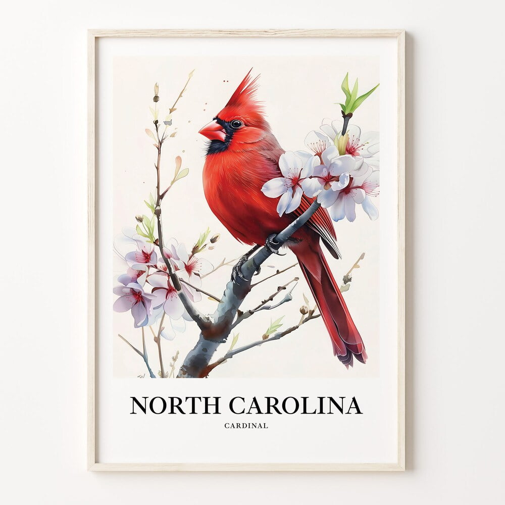 Kna Prints - North Carolina State Bird & Flower Poster Print, North ...