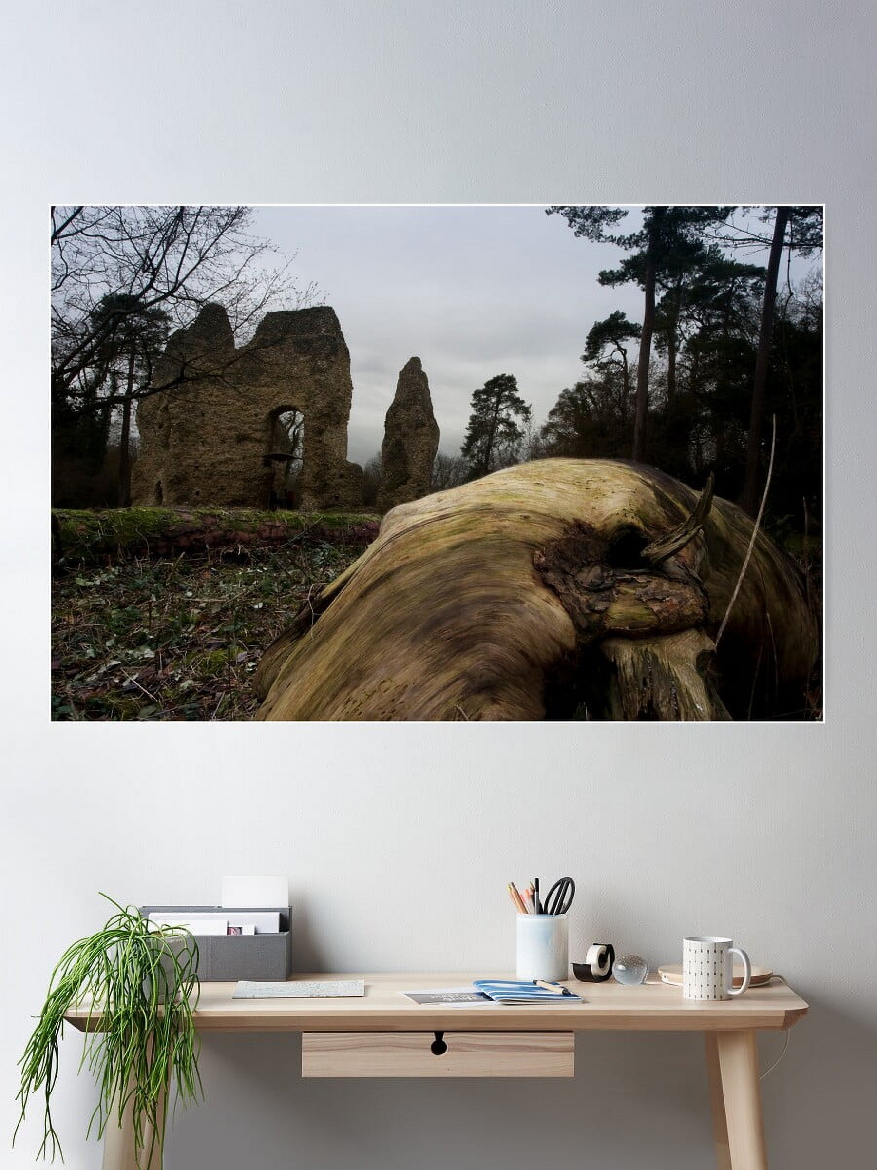 Kna Prints - Odiham Castle Poster, UNFRAMED-24x36 - Walmart.com