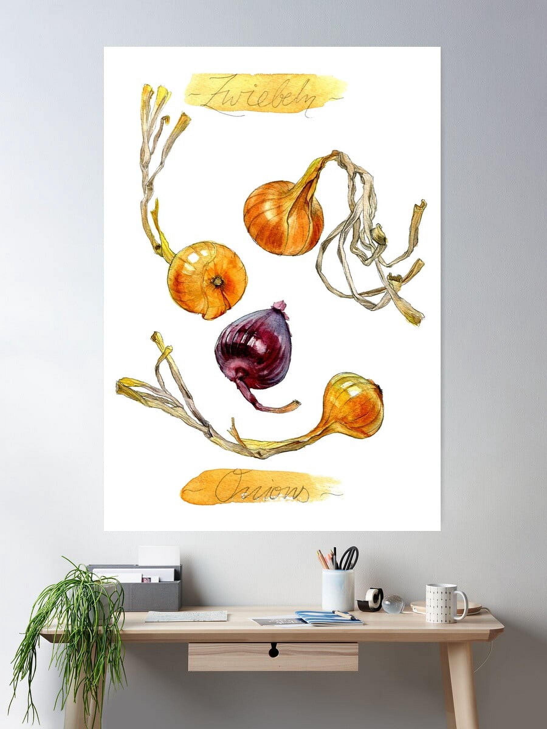 Kna Prints - Onions Watercolor Poster Wall Art, Modern Wall Decor For ...