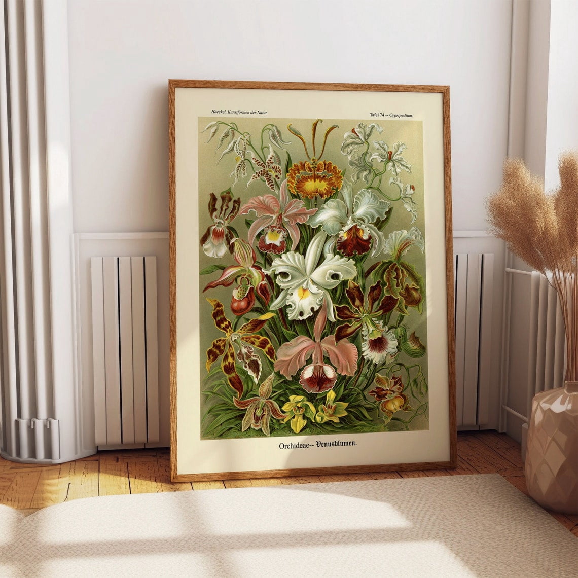 Kna Prints - Orchid Print Orchids Wall Art Orchids Poster Orchids ...
