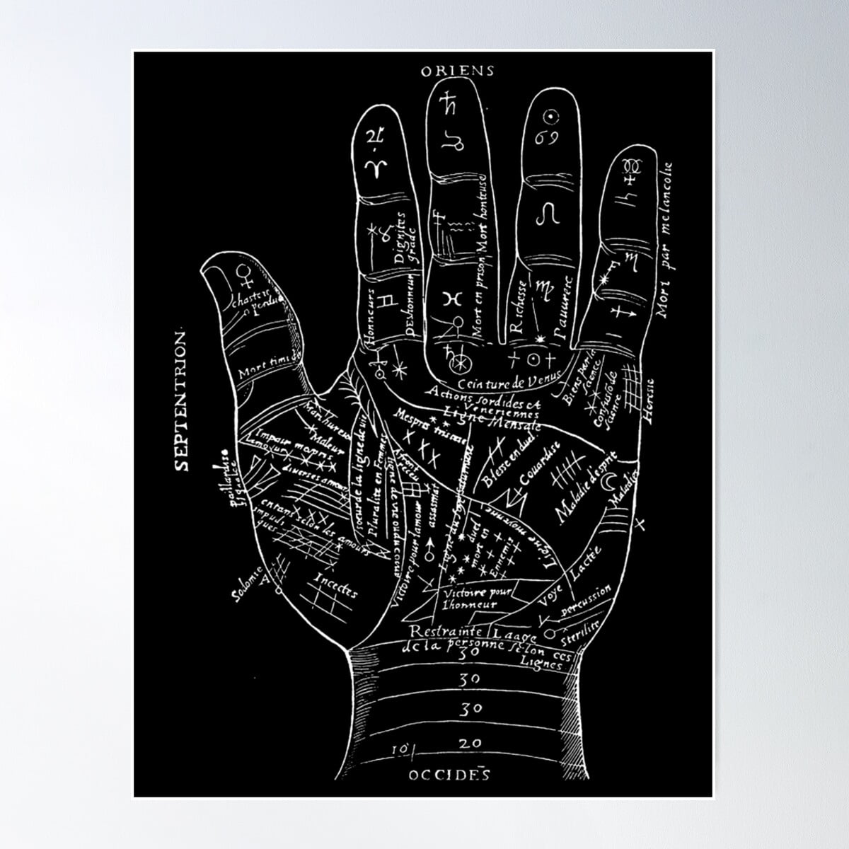 Kna Prints - Palmistry : Vintage Occult Palm Reaing Advertising Print ...