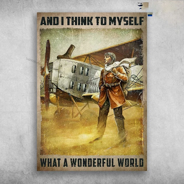 Kna Prints - Pilot Man, Pilot Poster - And I Think To Myself, What A ...
