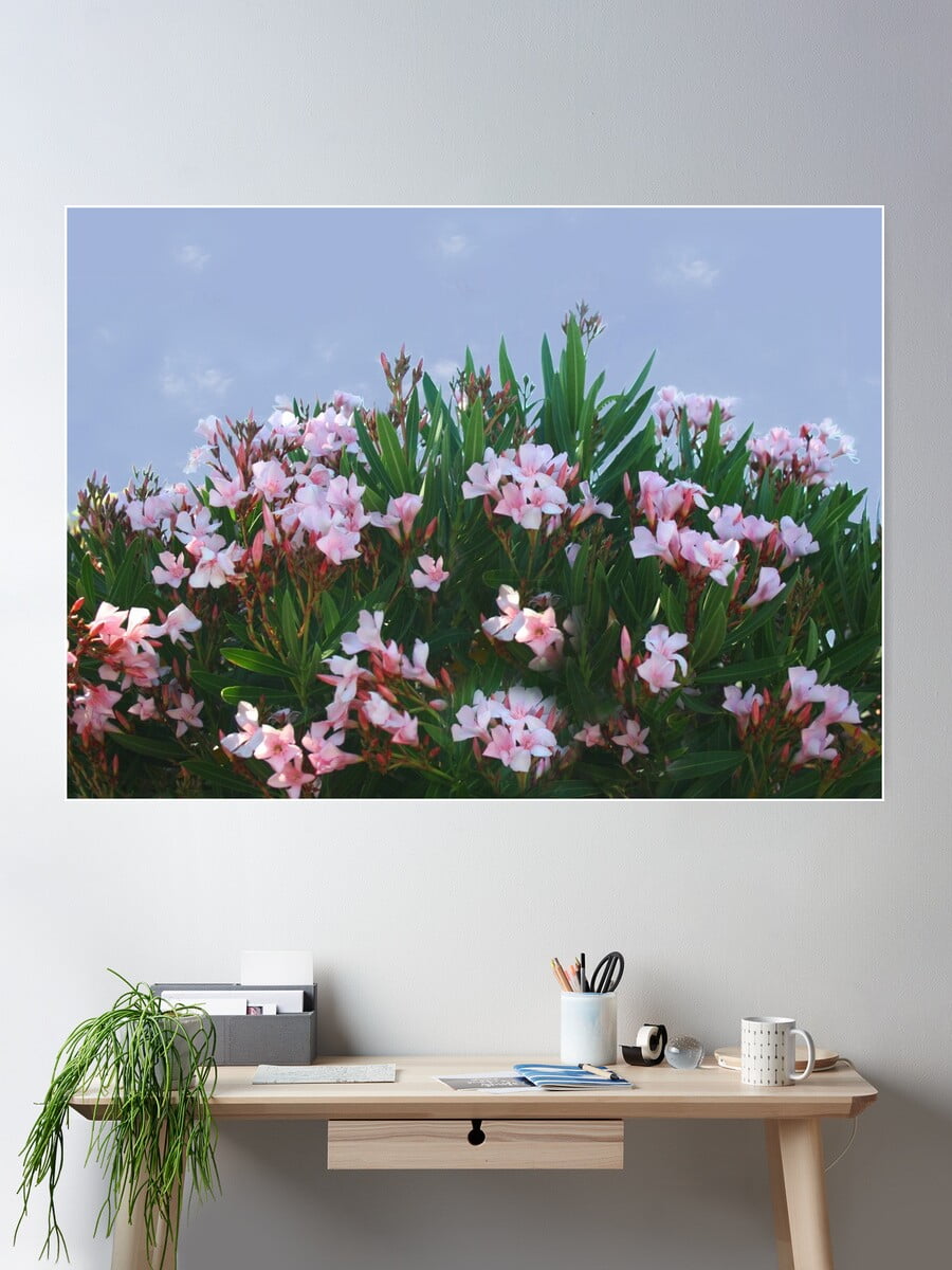 Kna Prints - Pink Floral Mound Poster Wall Art, Modern Wall Decor For ...