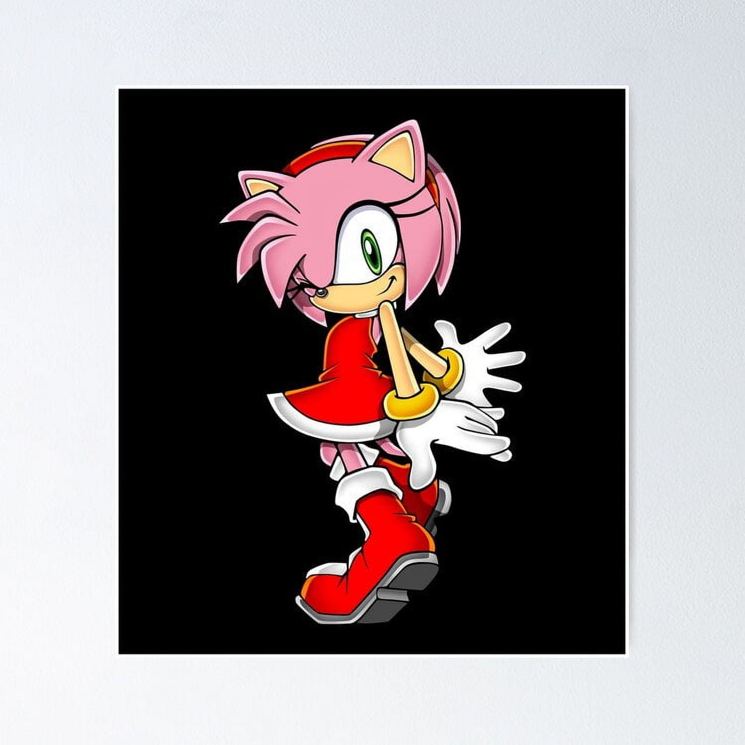 Kna Prints - Poster Amy Rose Sonic, UNFRAMED-24x36 - Walmart.com