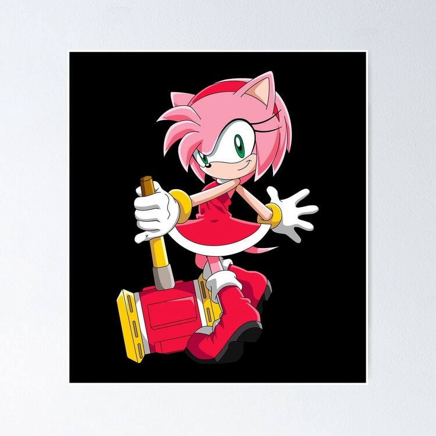Kna Prints - Poster Amy Rose Sonic, UNFRAMED-24x36 - Walmart.com