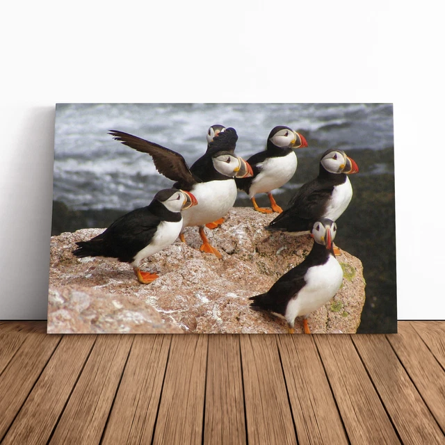 Kna Prints - Poster Atlantic Puffin Birds Picture Decor Living Room ...