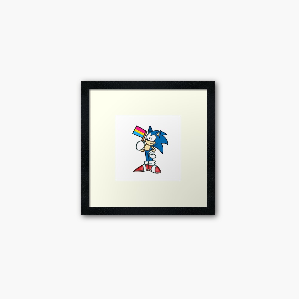 Kna Prints - Poster Bandera De Sonic Pan, UNFRAMED-16x24 - Walmart.com