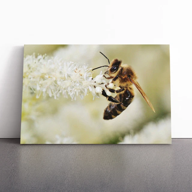 Kna Prints - Poster Bumble Bee Collecting Pollen Picture Home Decor ...