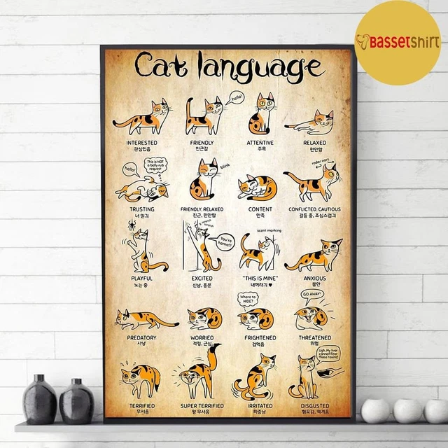 Kna Prints - Poster Cat Language Translator Poster, UNFRAMED-12x18 ...