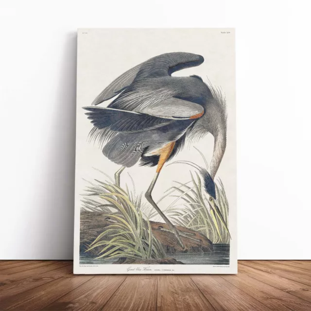 Kna Prints - Poster Great Blue Heron Landscape Bird John James Audubon ...
