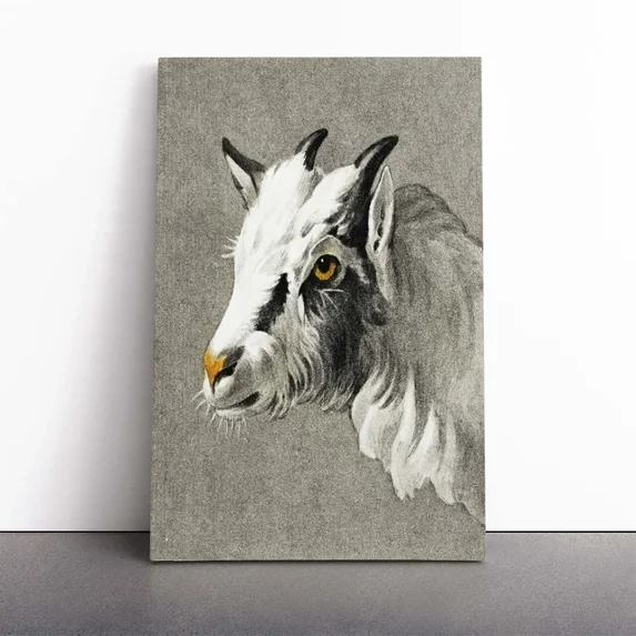 Kna Prints - Poster Head Of A Goat Animal Vintage Jean Bernard Picture ...