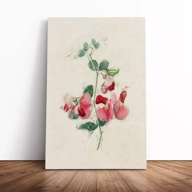 Kna Prints - Poster Illustration Of Pink Sweet Pea Flowers Vintage ...