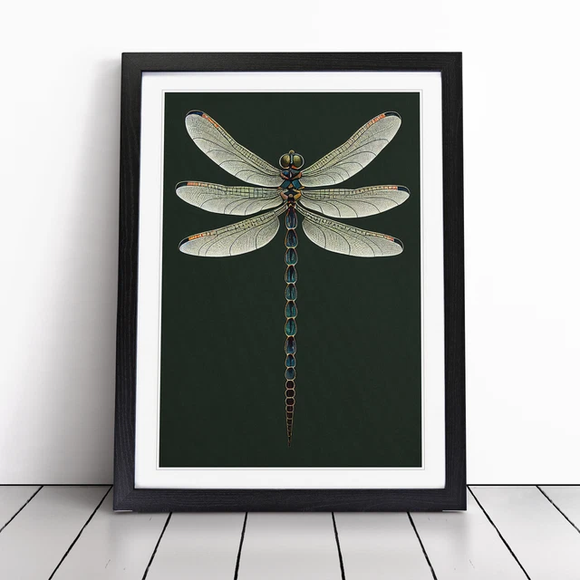 Kna Prints - Poster Symmetrical Dragonfly Picture Poster Decor ...