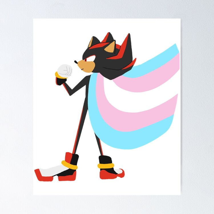 Kna Prints - Poster Trans Flag Shadow, UNFRAMED-24x36 - Walmart.com