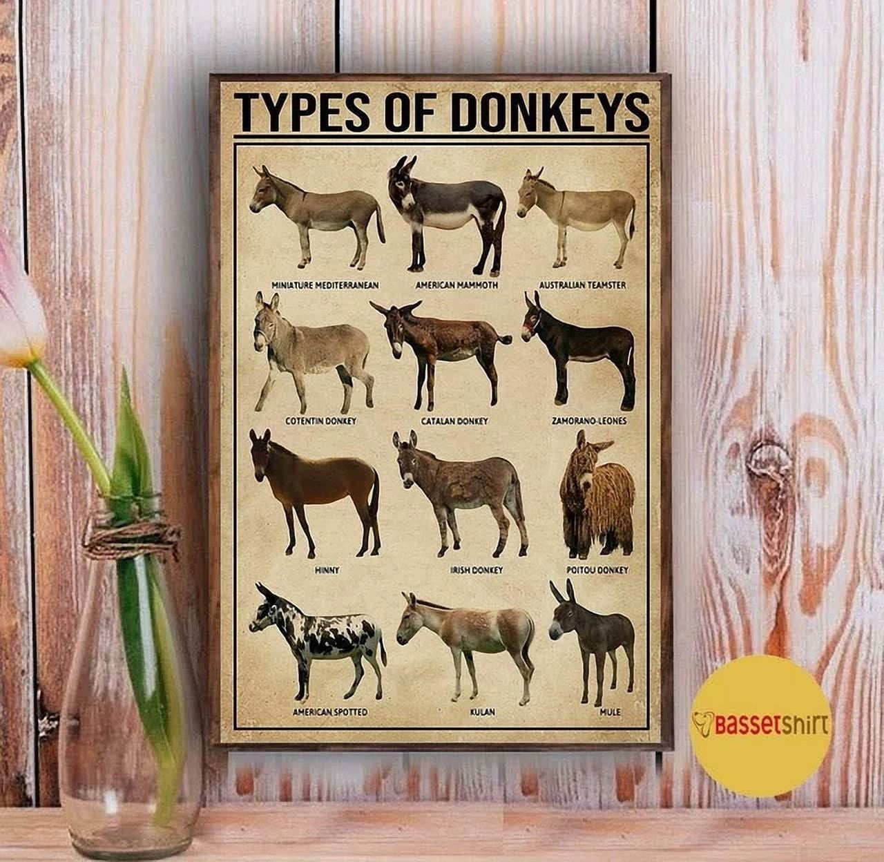 Kna Prints - Poster Types Of Donkeys Poster, UNFRAMED-16x24 - Walmart.com
