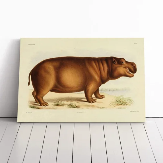 Kna Prints - Poster Vintage Huet, Nicholas Hippopotamus Picture Decor ...