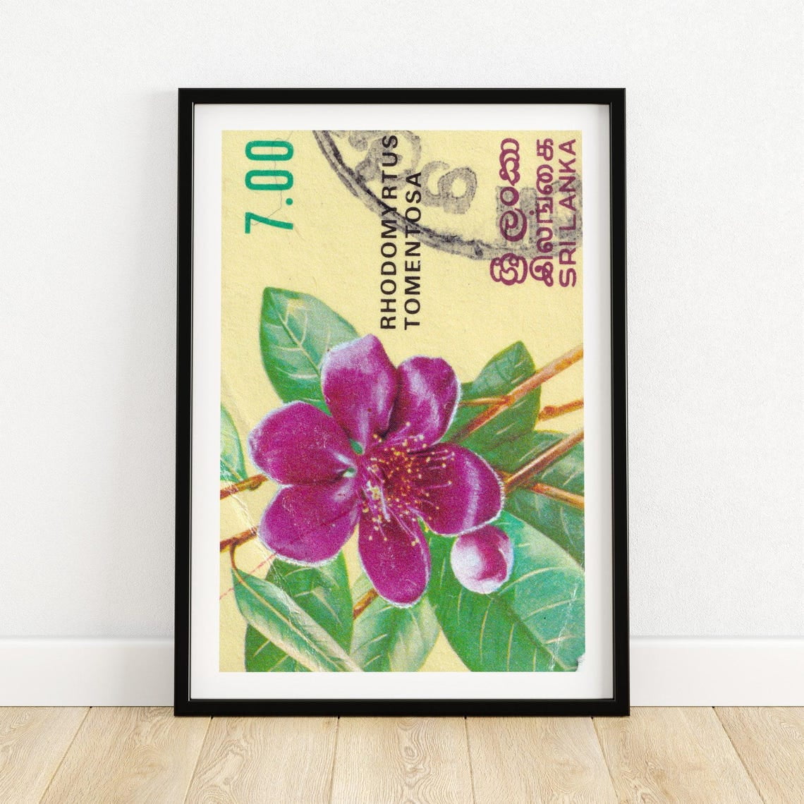 Kna Prints - Purple Flower Petals - Vintage Sri Lanka Art - Postage ...