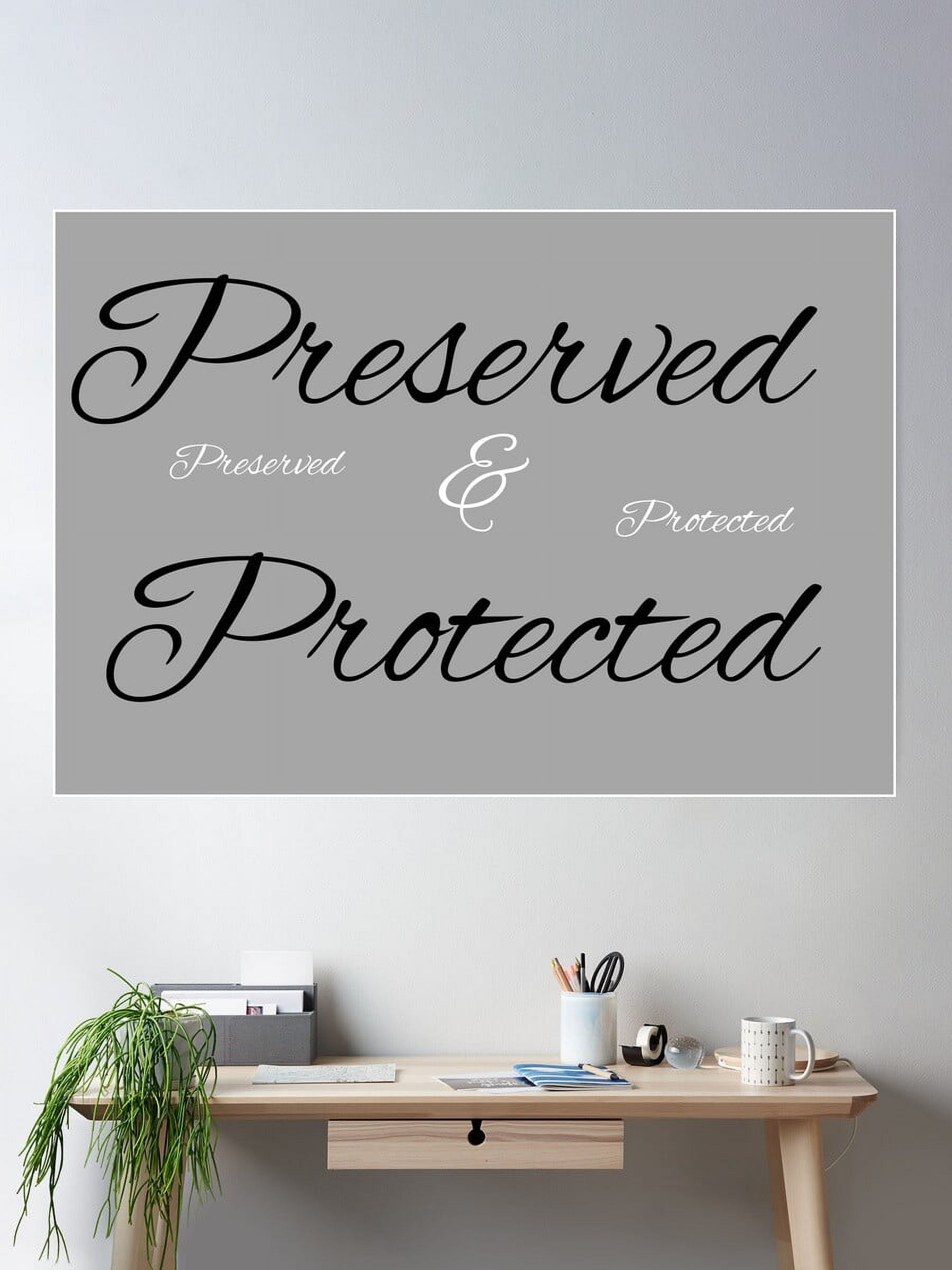 Kna Prints - Scripture Of God'S Preserved Poster, UNFRAMED-12x18 ...