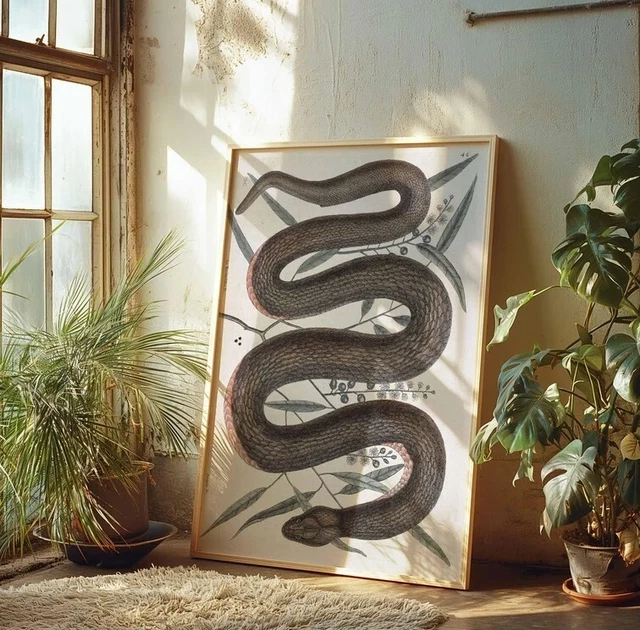 Kna Prints - Snake Illustration Print | Vintage Reptile Wall Art For ...
