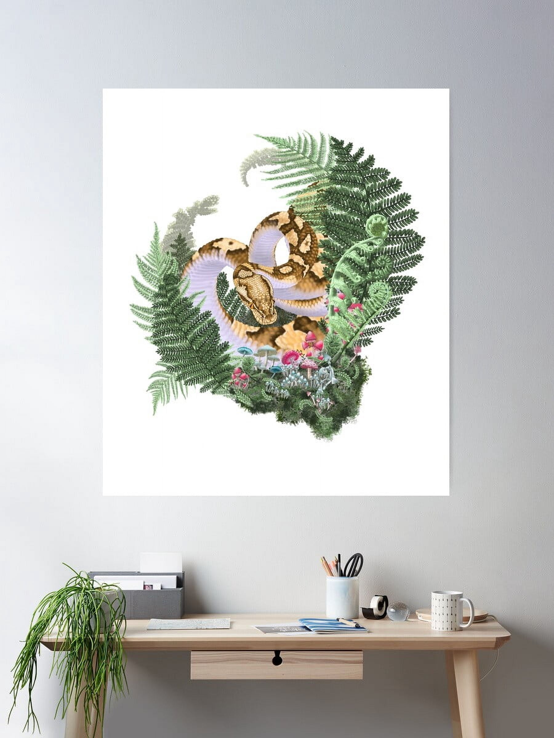 Kna Prints - Stephen The Ball Python Poster, UNFRAMED-24x36 - Walmart.com