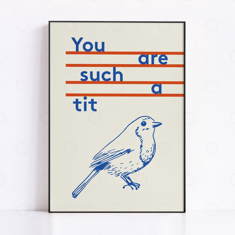 Kna Prints - Tit Print, Funny Quote, Northern Prints, Colourful Retro ...