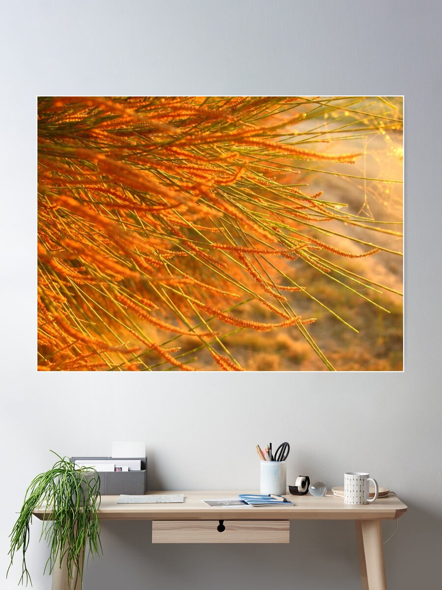 Kna Prints - Toby'S Leaves Poster, UNFRAMED-8x12 - Walmart.com