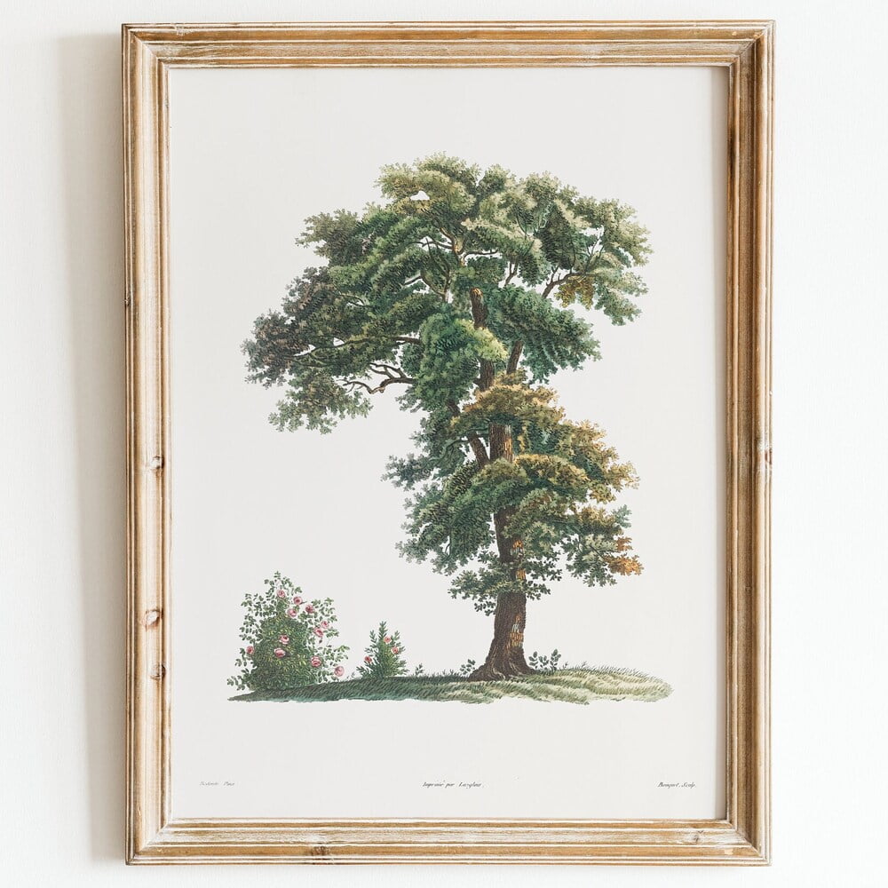 Kna Prints - Tree Painting Vintage Botanical Art Print Nature Landscape ...