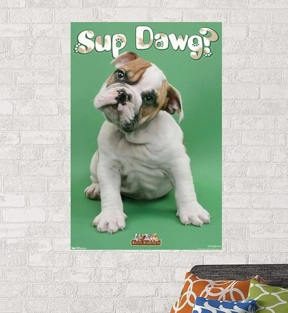 Kna Prints - Trends International Keith Kimberlin - Sup Dawg Wall Poster For Home Decor, Living ...