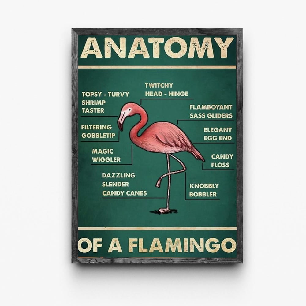 Kna Prints - Vintage Anatomy Of A Flamingo Art Poster, Pink Flamingos Art Print, Ad Retro Poster ...