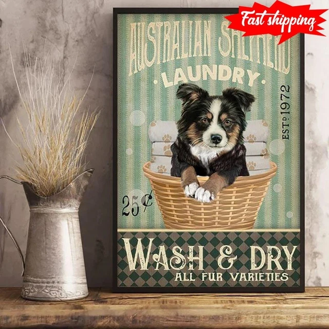Kna Prints - Vintage Australian Shepherd Laundry Est.1972 Wash &Amp Dry ...