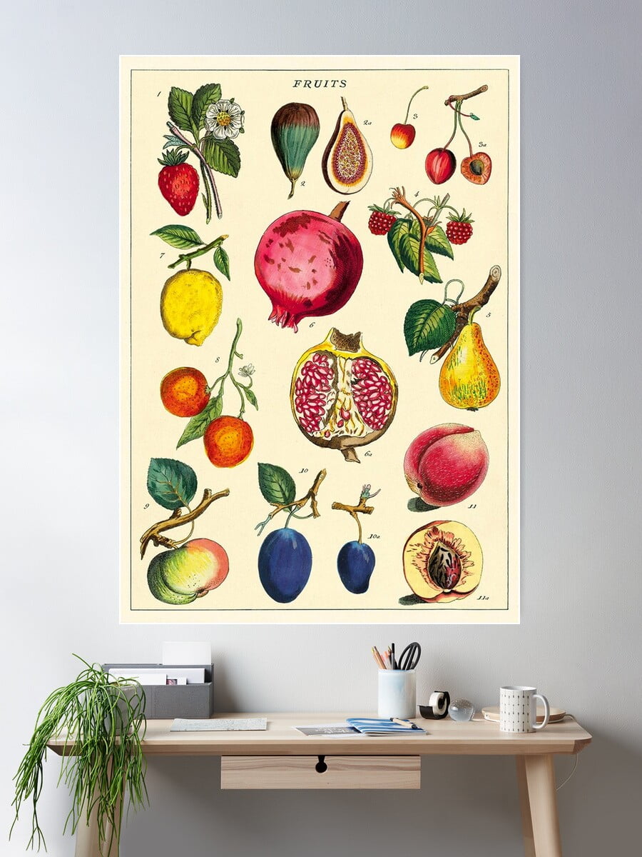 Kna Prints - Vintage Fruits Poster Wall Art, Modern Wall Decor For ...