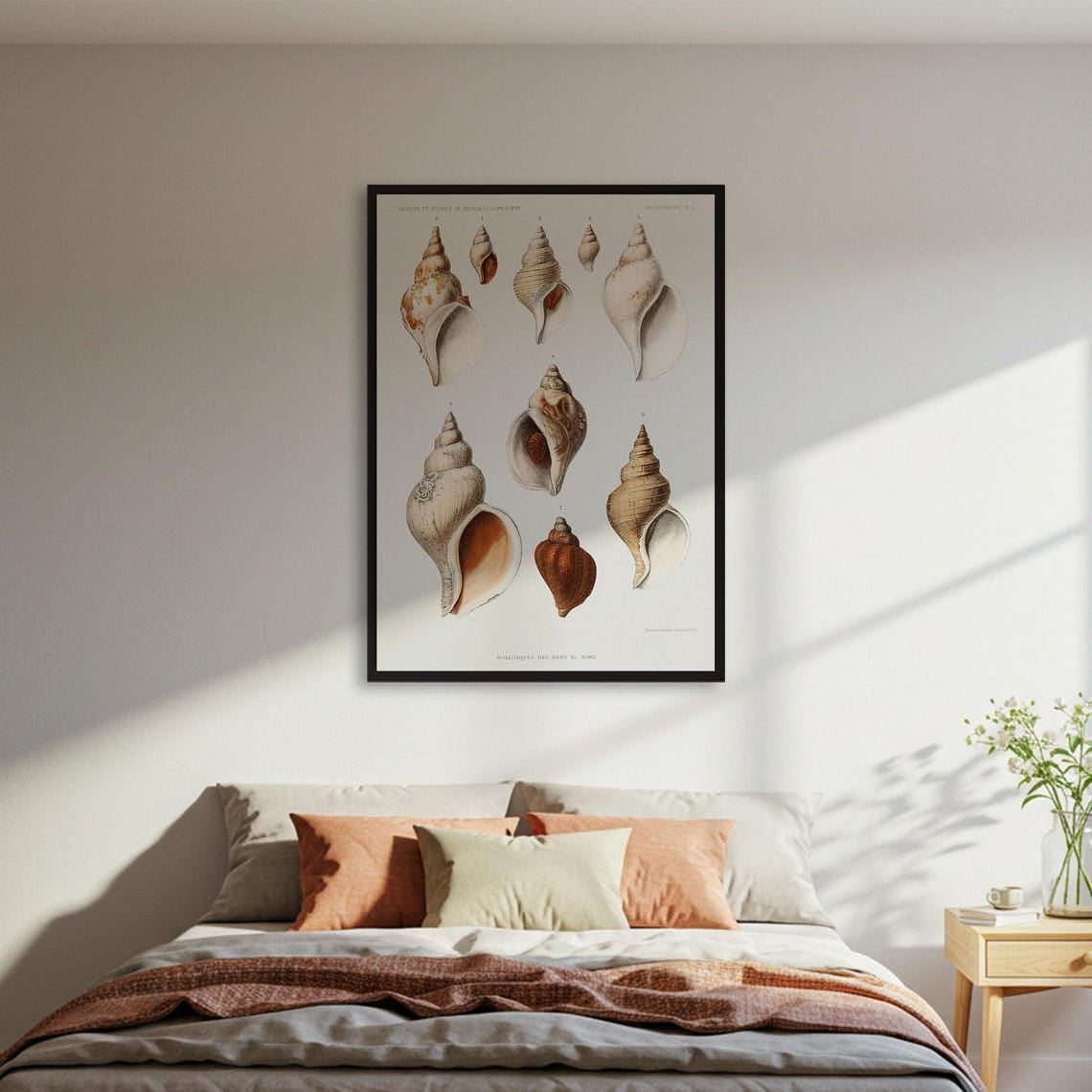 Kna Prints - Vintage Seashell Botanical Print, Nautical Wall Art ...
