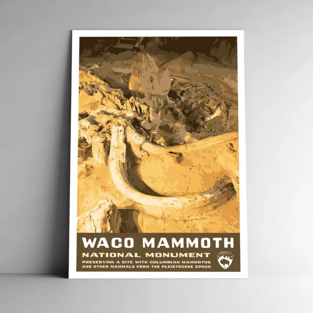 Kna Prints - Waco Mammoth National Monument Travel Poster Texas Poster ...