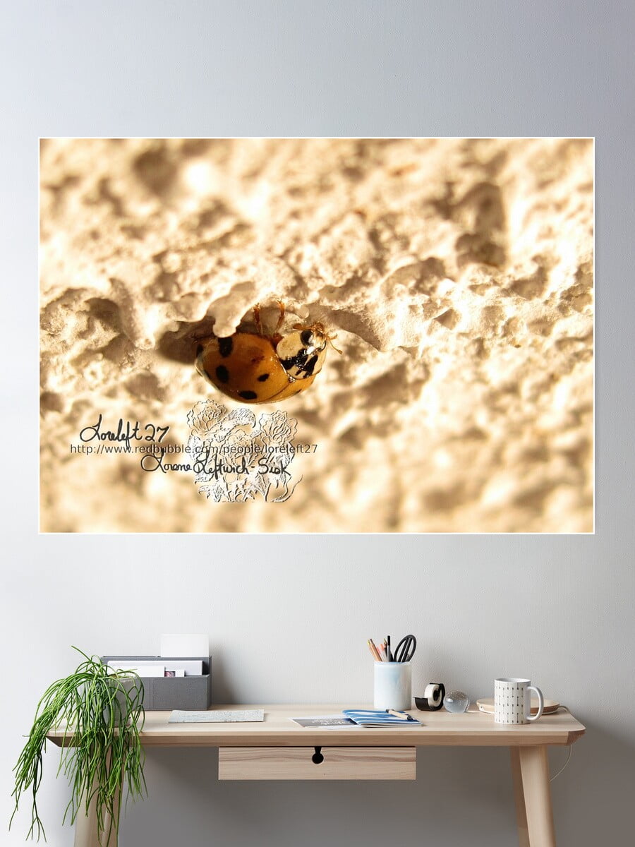 Kna Prints - Where Am I? Poster, UNFRAMED-24x36 - Walmart.com