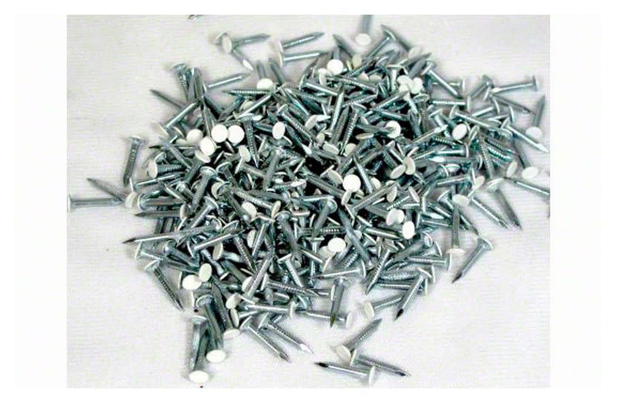 Knape & Vogt 255-81N Series 255-81N WH Standard Nail, Zinc, White ...