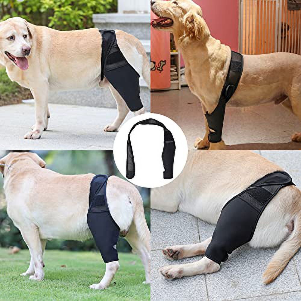 Knee Brace for Dogs,Dog Leg Braces,Adjustable Multifunctional ...
