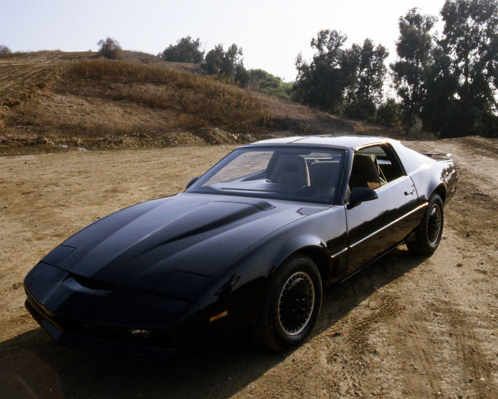Knight Rider Classic Pose Of Car Kitt24X36 Classic Hollywood Poster ...