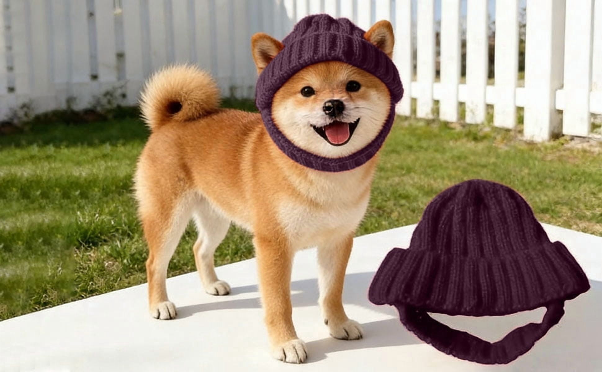 Knit Dog Beanie Hat, Dog Beanie with Ear Holes, Warm Dog Winter Hat ...