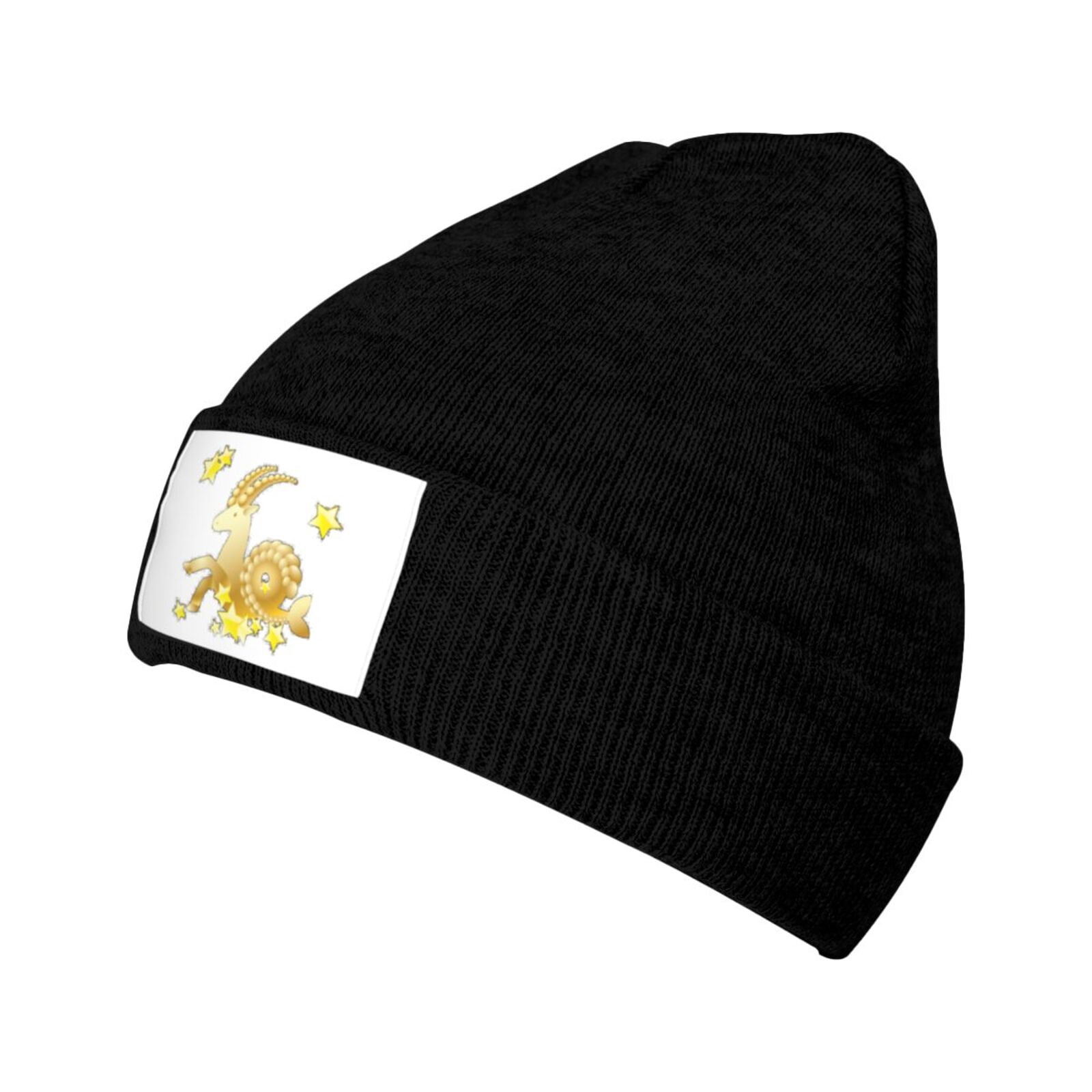 Knit Hat Capconstellation Icon Capricorn Image Symbol - Walmart.com