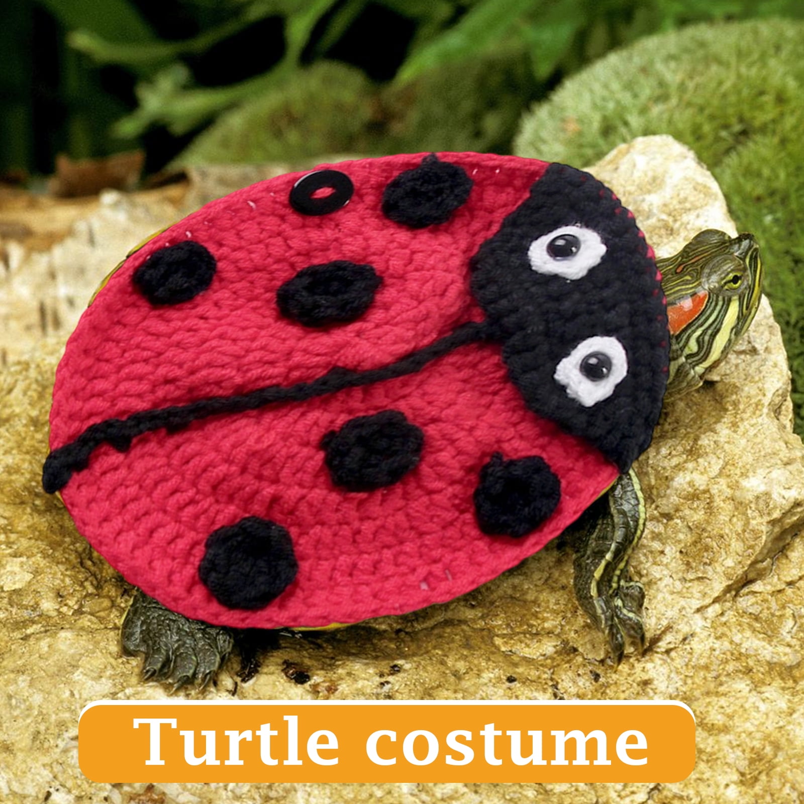 Knitted Turtle Sweater for Pet Tortoise - Cute Warm Shell Costume for ...