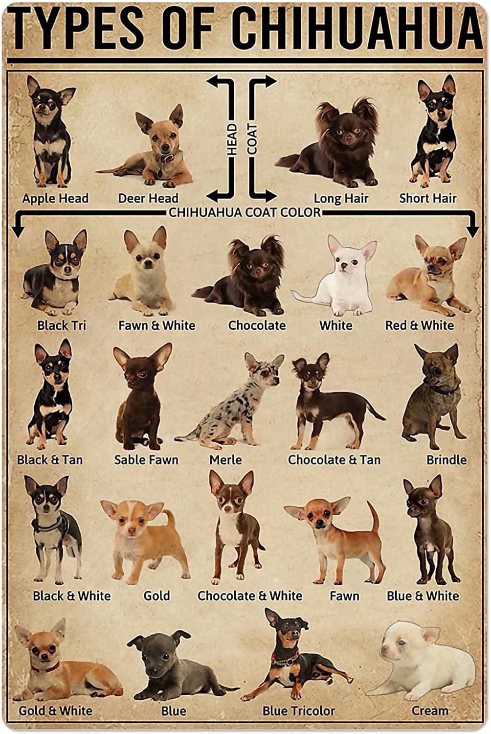 Knitting Skitting Girls Some Girls are Just Born with Yarn Their Souls ...