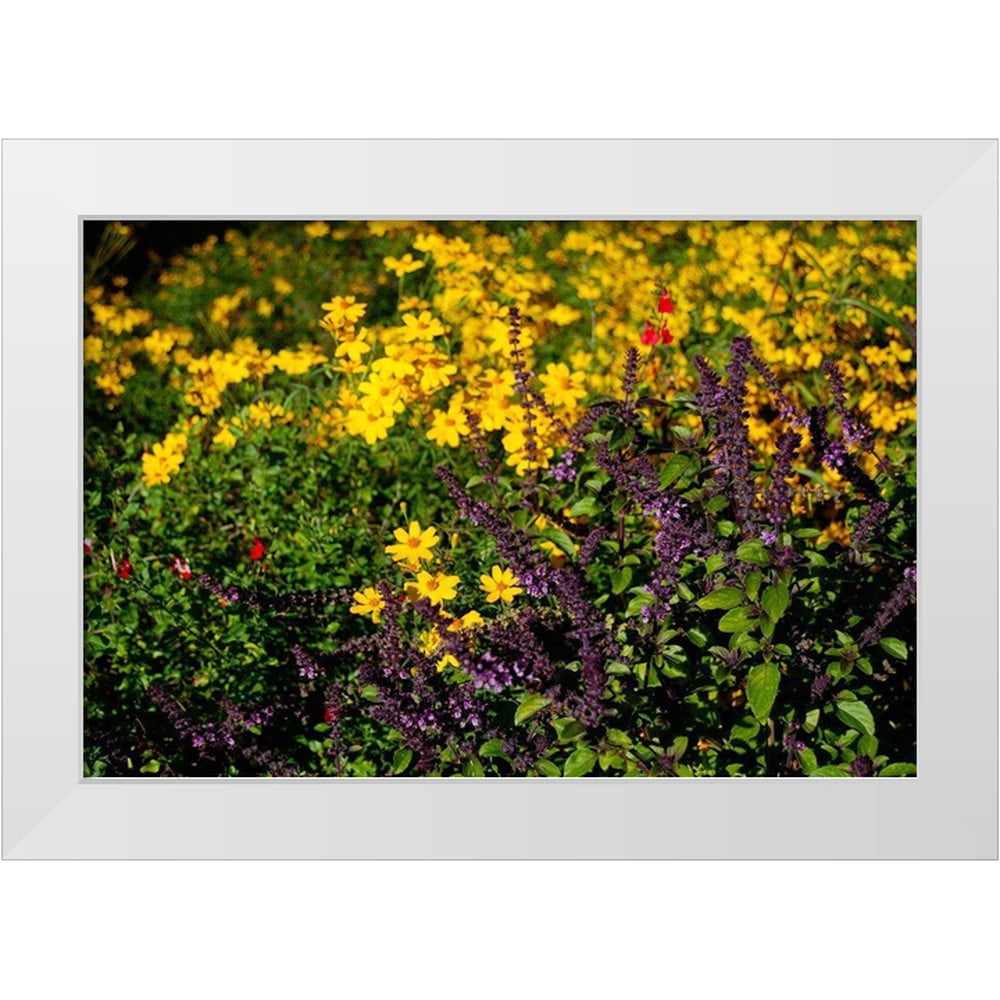 Knoble 14x11 White Modern Wood Framed Museum Art Print Titled ...