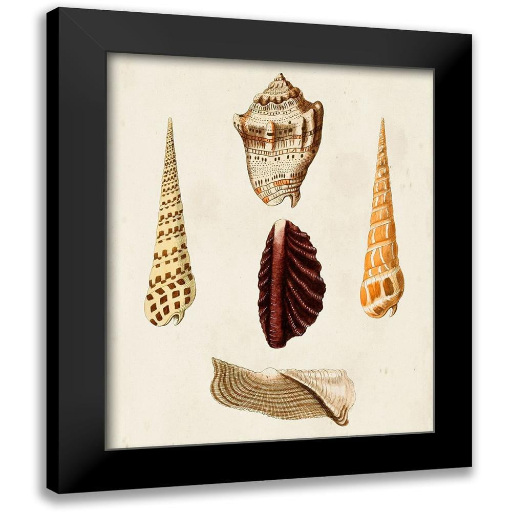 Knorr, G.W. 15x18 Black Modern Framed Museum Art Print Titled - Knorr ...